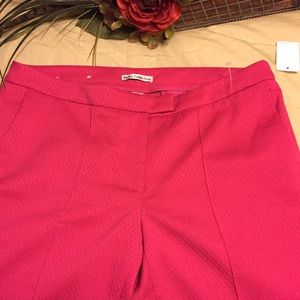 Dalia Collection | Pants & Jumpsuits | New Dalia Collection Pants ...